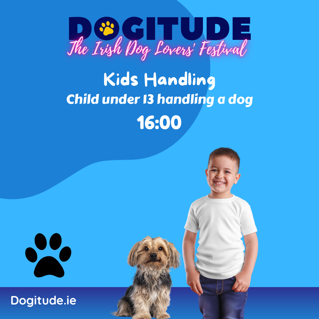 FUN DOG SHOW Dogitude FUN DOG SHOW Dogitude